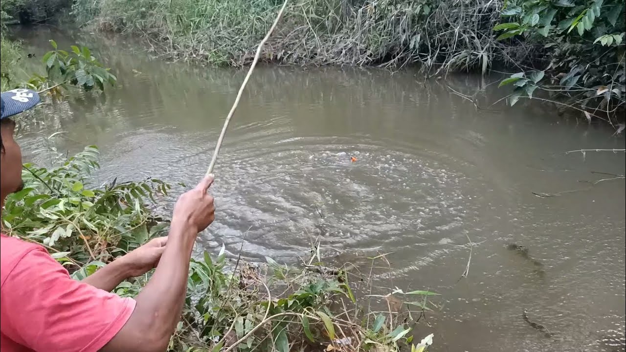 PERTAMA KALI.!!! MANCING IKAN BARENG PARA MASTER NYA MANCING DI ALAM ...