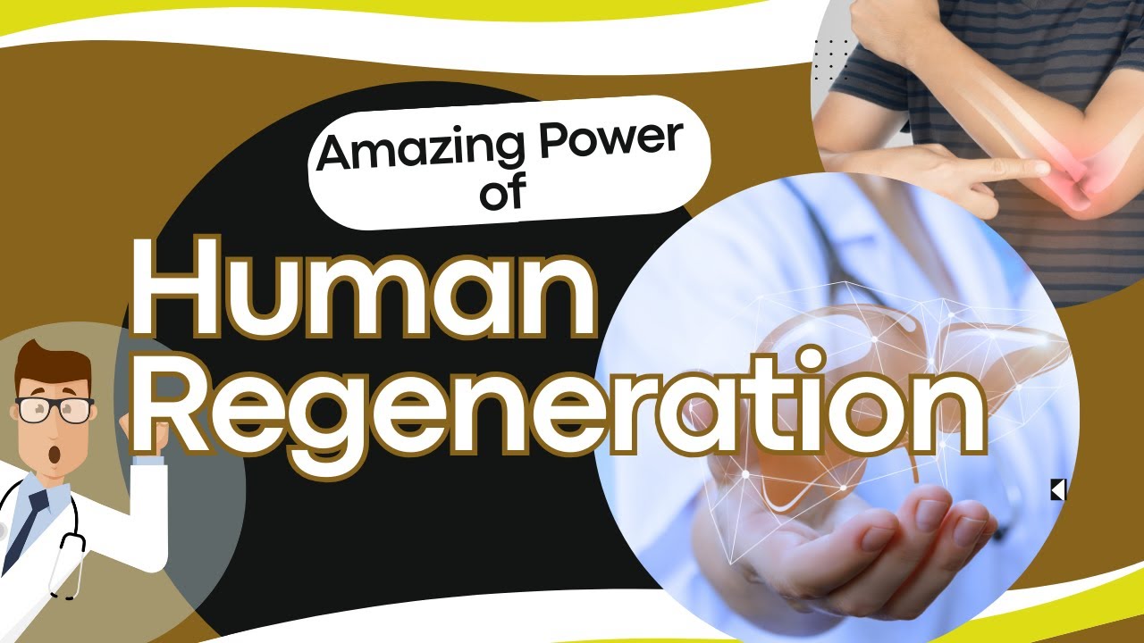 The Amazing Power of Human Regeneration - YouTube