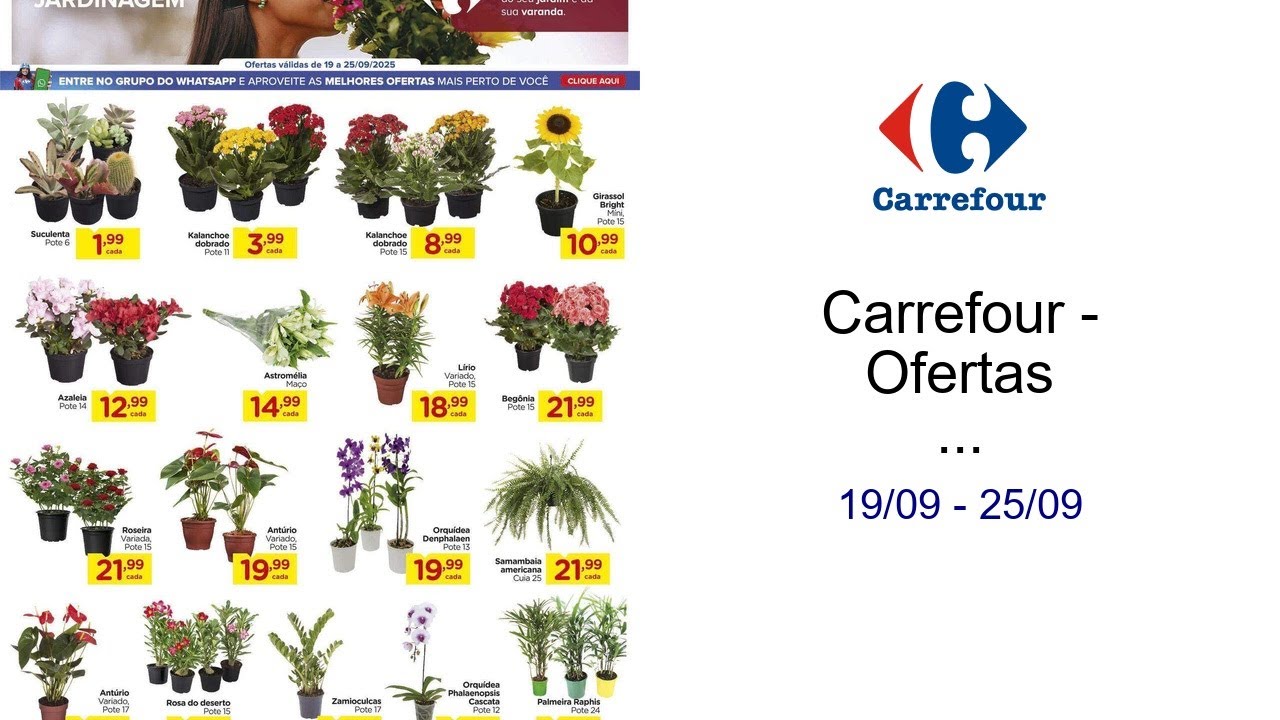 Carrefour - Ofertas Especial Jardinagem 19/09 - 25/09 - YouTube