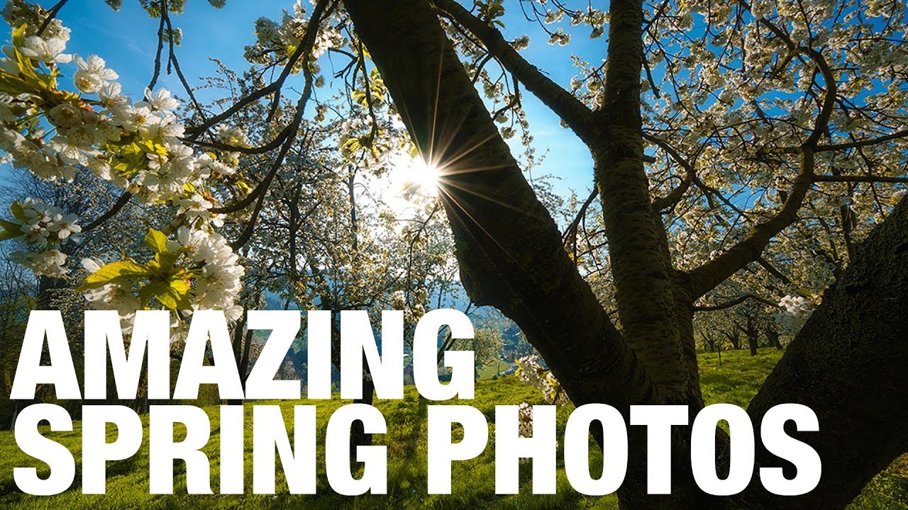 Tips for AMAZING SPRING PHOTOS 📷Learn Photography - YouTube