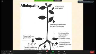Allelopathic Effects of Weeds on Crops and Vice Versa