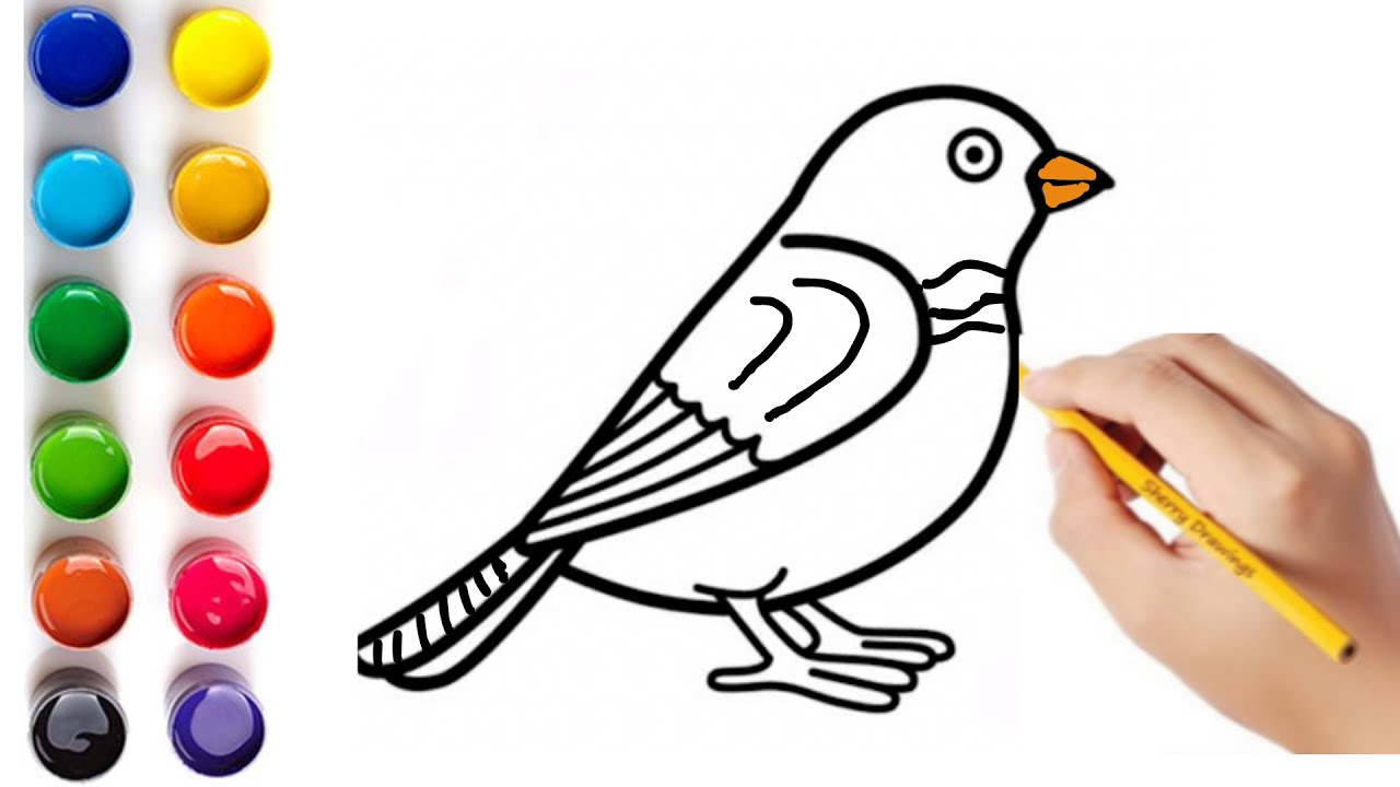 Bird Drawing, Painting and Coloring for Kids & Toddlers | Art for Kids ...