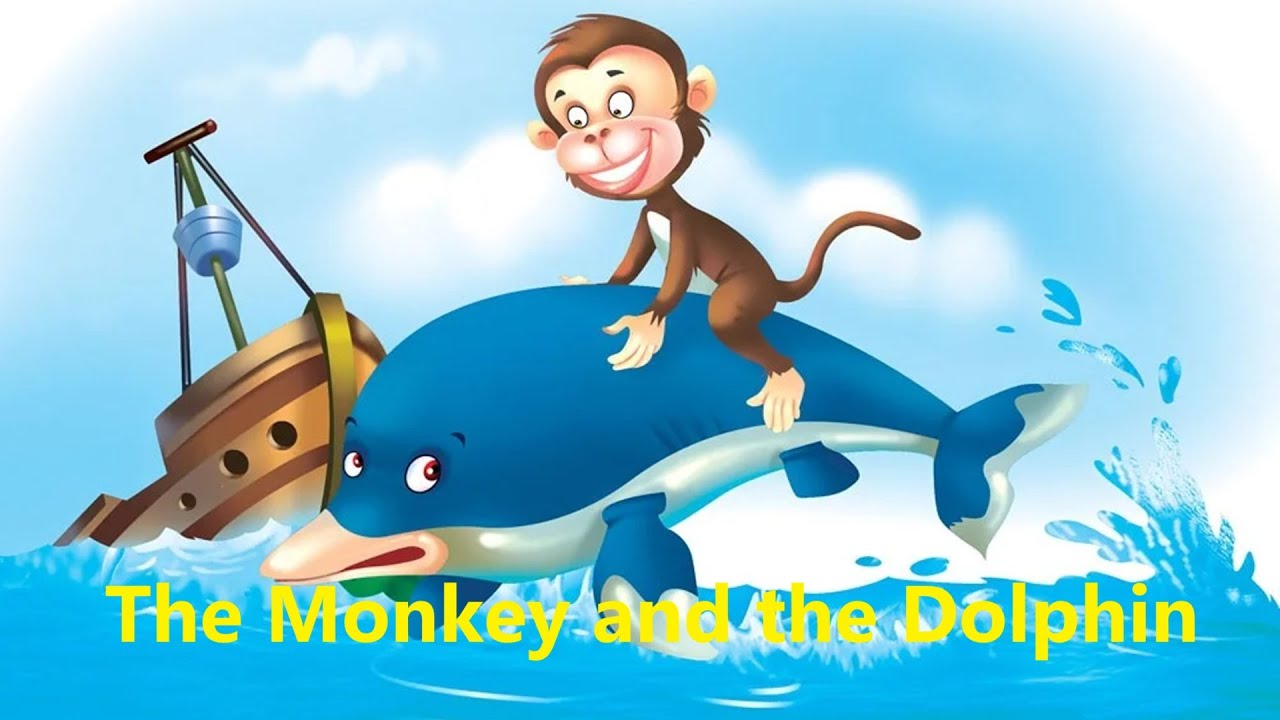 Short Story: The Monkey and the Dolphin - YouTube