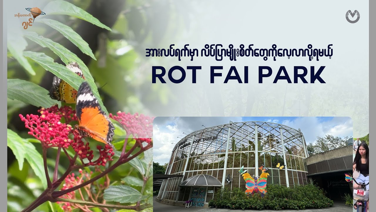 အပန်းဖြေ စက်ဘီးလည်းစီး ၊ လိပ်ပြာ နှင့် အင်းဆက် မျိုးစိတ်တွေကိုပ ...