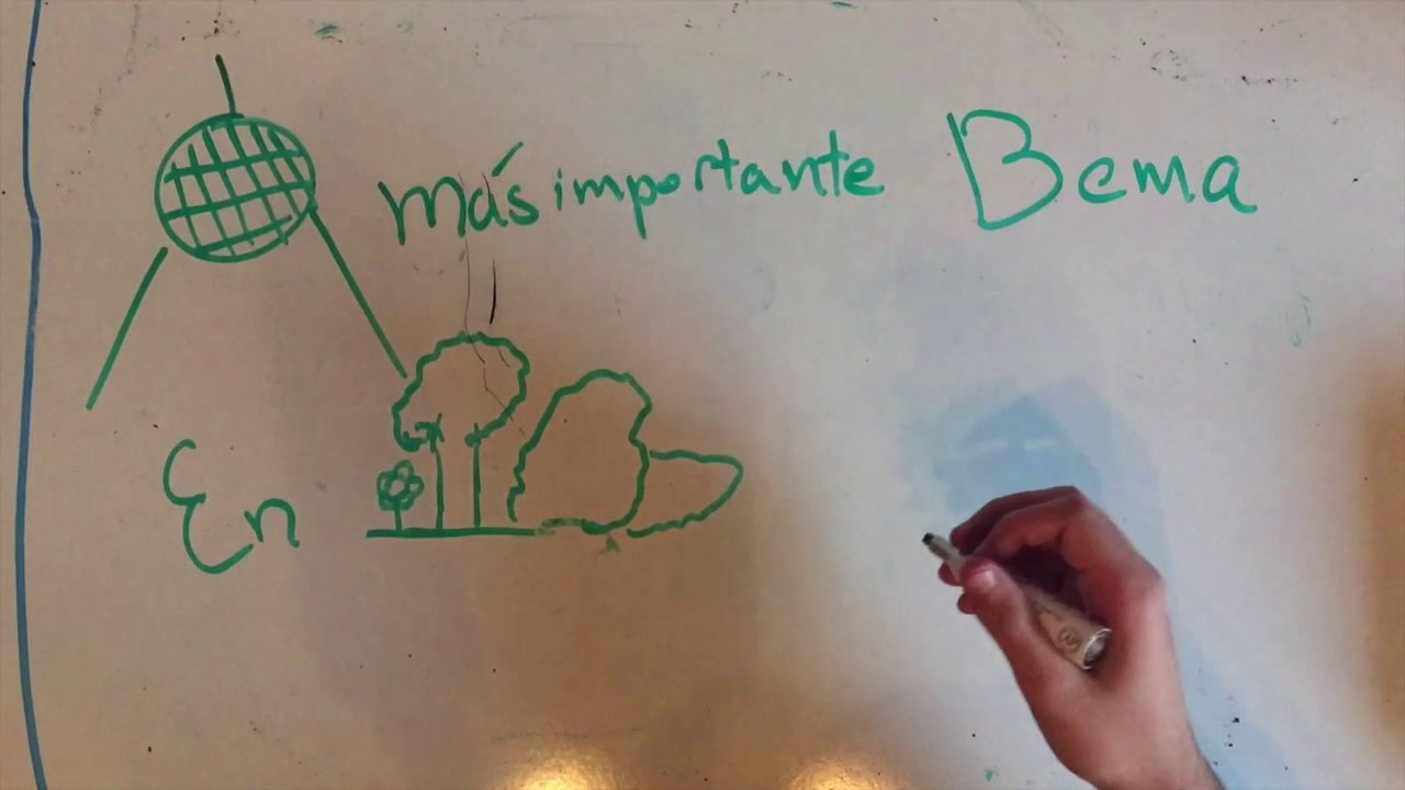 Maniqueísmo - YouTube