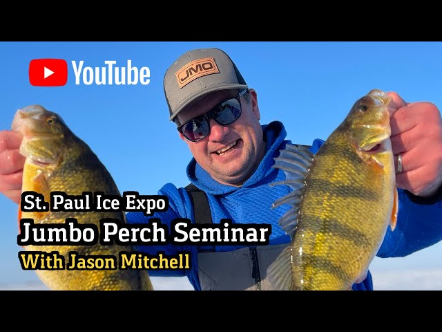 World Record Perch 2024
