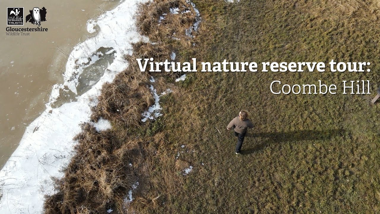 Virtual nature reserve tour: Coombe Hill - YouTube