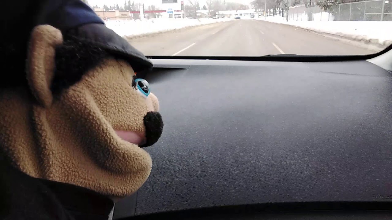 The Puppet Gang Vlogs: Mooshum Joe and Jason Go Back from Walmart # ...