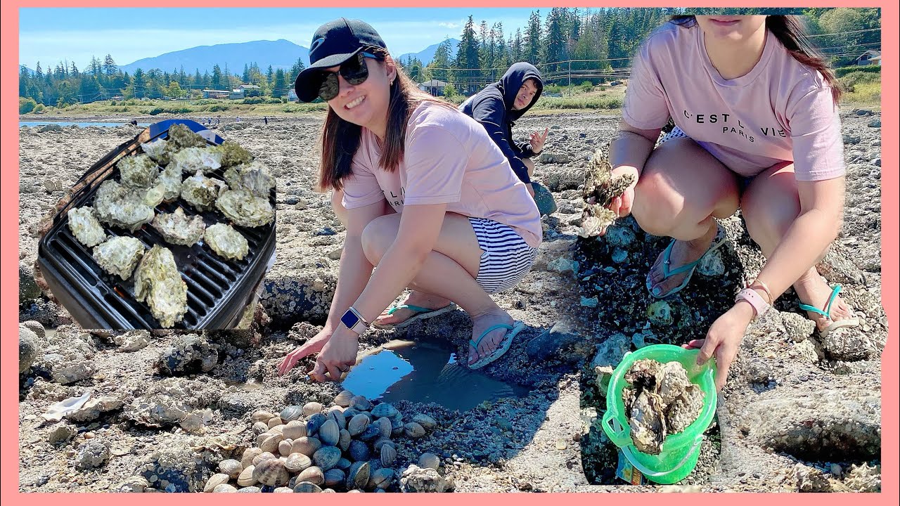 CLAMMING AND OYSTER PICKING IN VANCOUVER ISLAND (Apple Fel) - YouTube