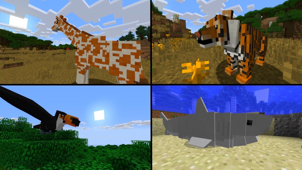 More animals MINECRAFT needs to add! - YouTube