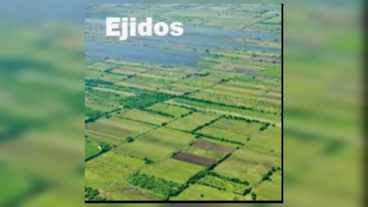 Tipos de propiedad de un ejido. - YouTube