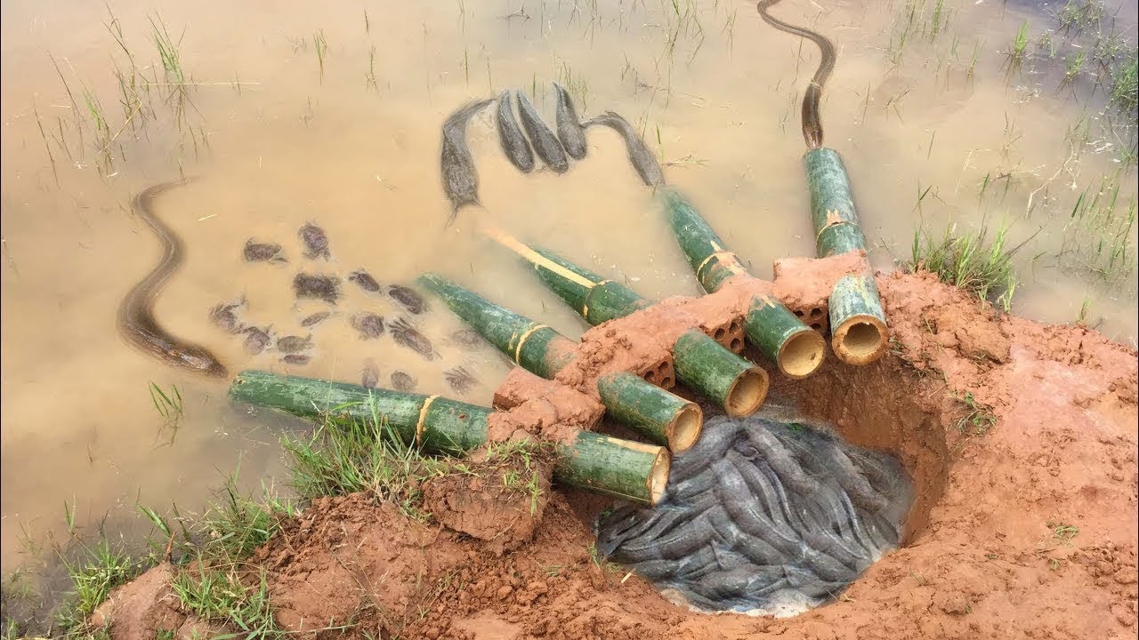 Невероятные Технологии Ловли и Выращивания Рыбы. Такого ты точно еще не ...