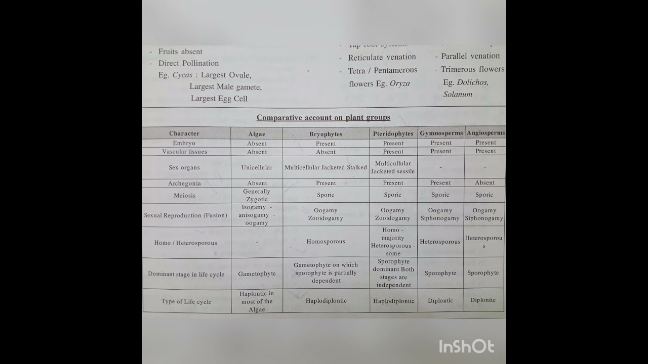 FLOWCHART- NEET - YouTube