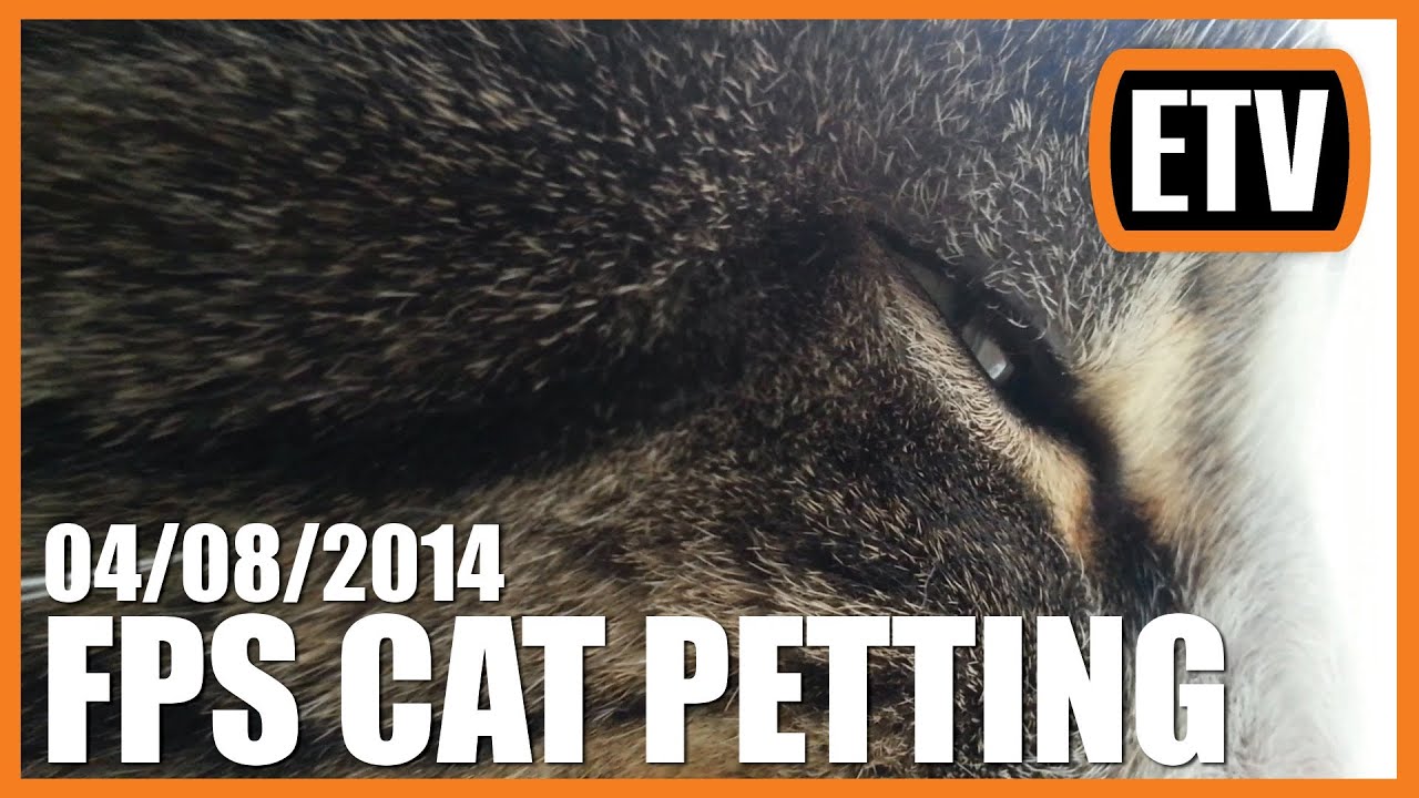 FPS Cat Petting - YouTube