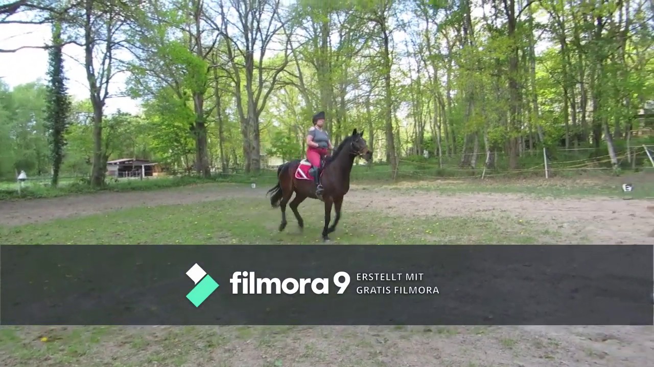 Ganz ruhig Brauner! - YouTube