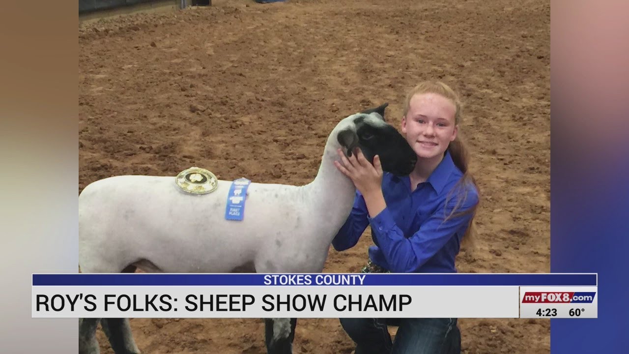 Stokes County sheep show champion has sights set on state fair win ...