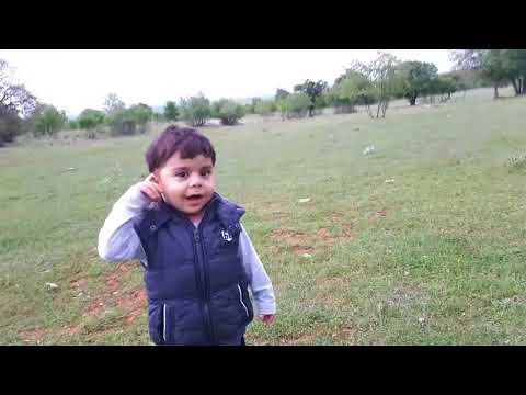 Ormanda Piknik (Cennet kuşları Çok Mutlu Oldu)