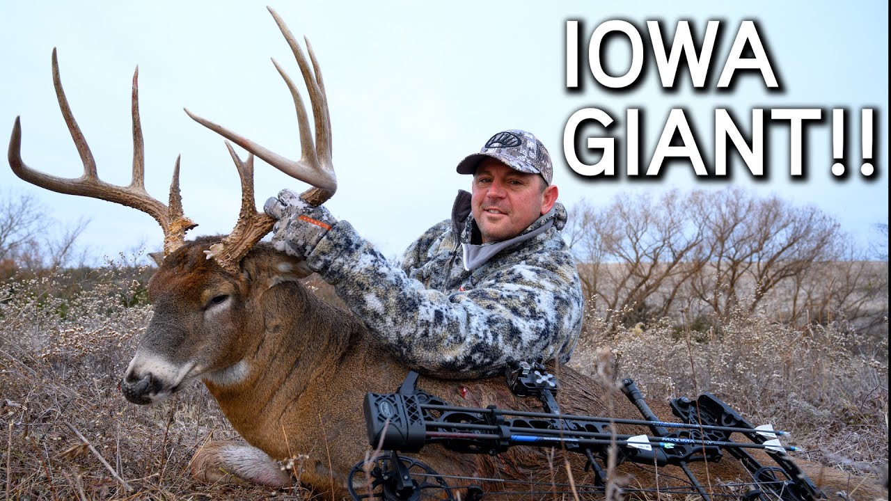 HUGE Iowa 9 Pointer At 10 Yards!! | CRAZY Rut Action!! - YouTube