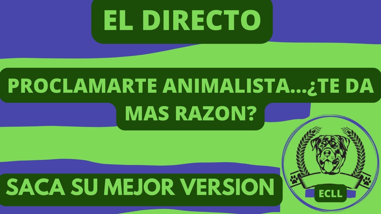 El Directo - Proclamarte Animalista ¿te da mas razon? - 5/02/23 - YouTube