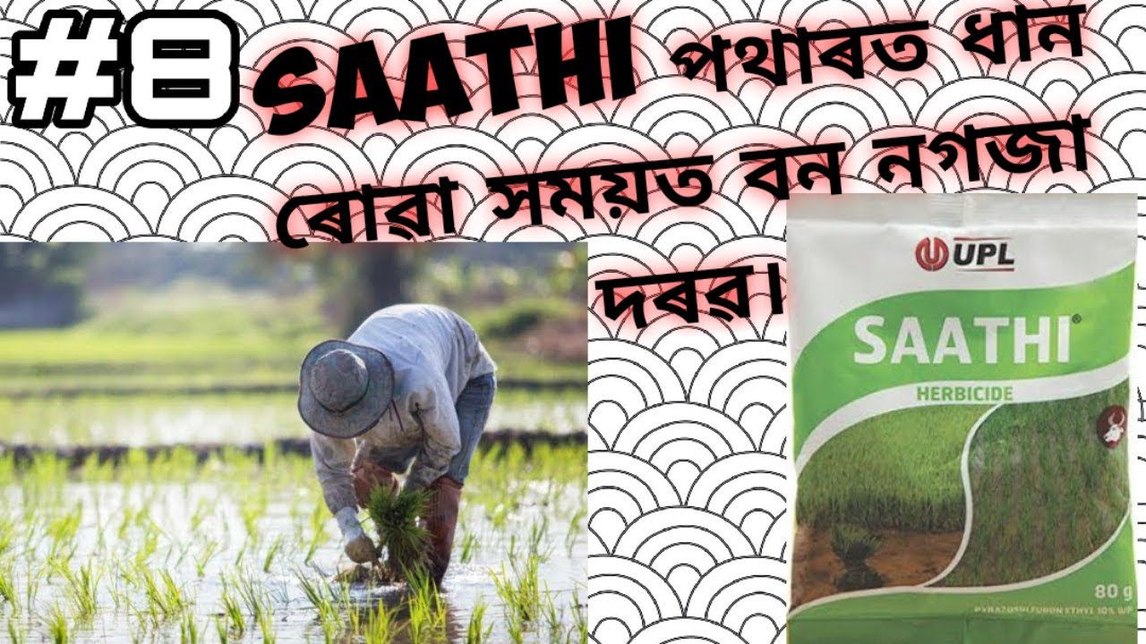 Saathi herbicide medicine - YouTube