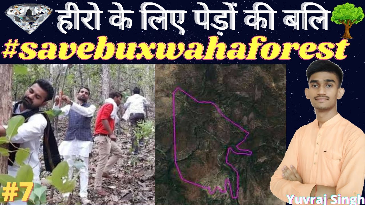 Save buxwaha Forests | Diamonds VS Trees #SaveBuxwahaForests - YouTube