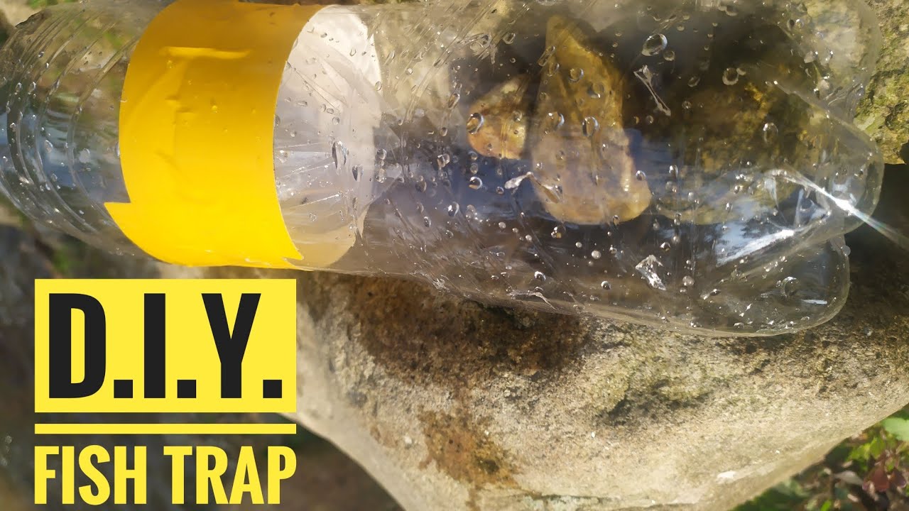 Fish Trap using used plastic bottle D.I.Y || Perangkap Ikan menggunakan ...