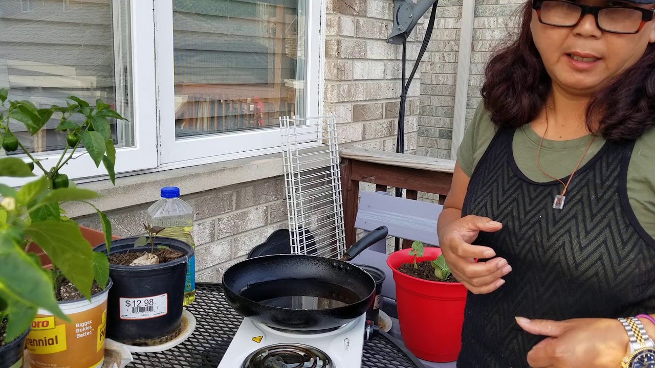 silver fish omelet/ tortang dulong with vegetables 😋 - YouTube