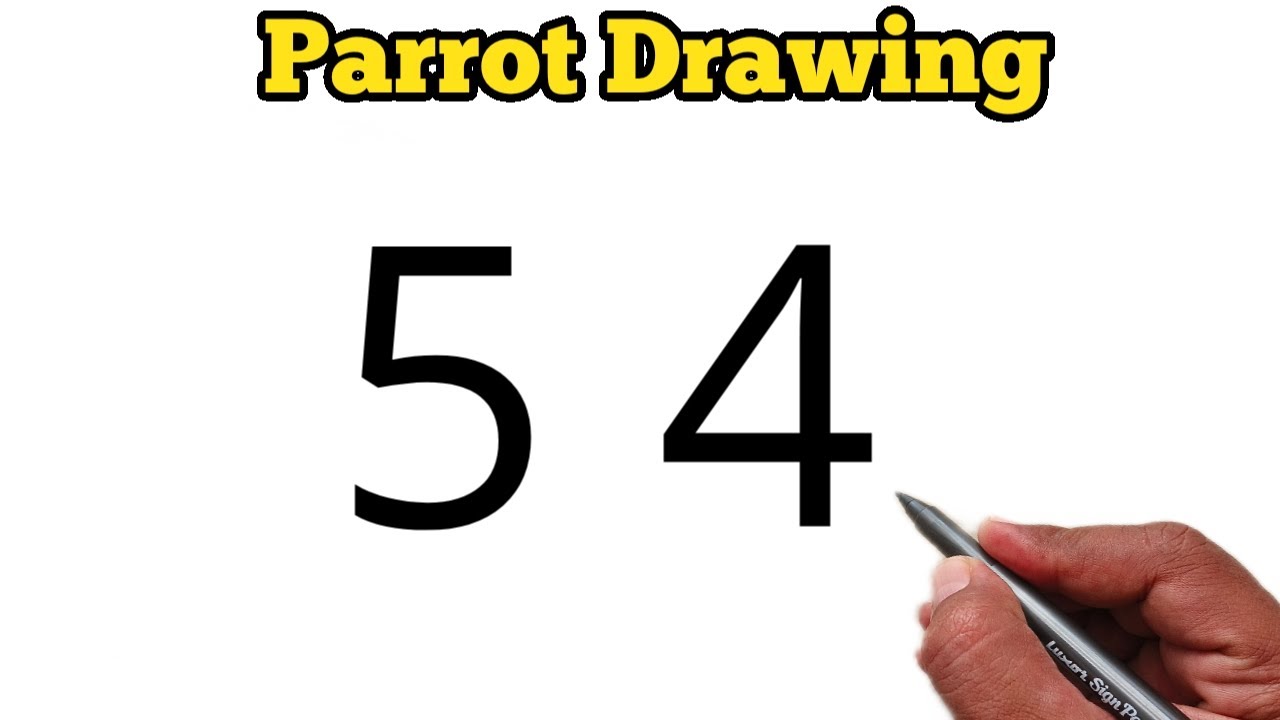 Water Drinking Parrot Drawing with number 54 | number drawing - YouTube