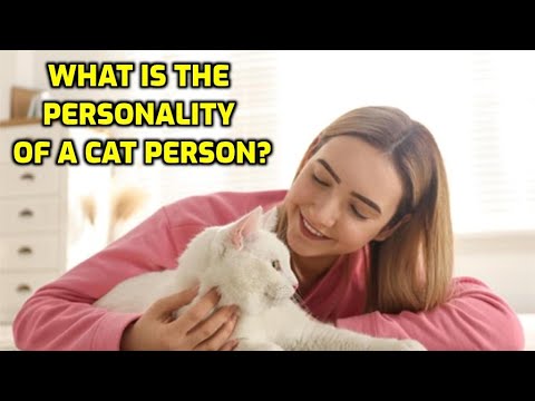 What Does Being A Cat Person Say About Your Personality? - YouTube