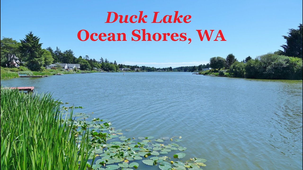Duck Lake, Ocean Shores, WA (2024) - YouTube