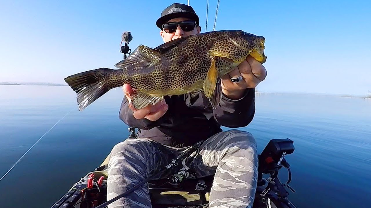 Spotted Bay Bass Lures