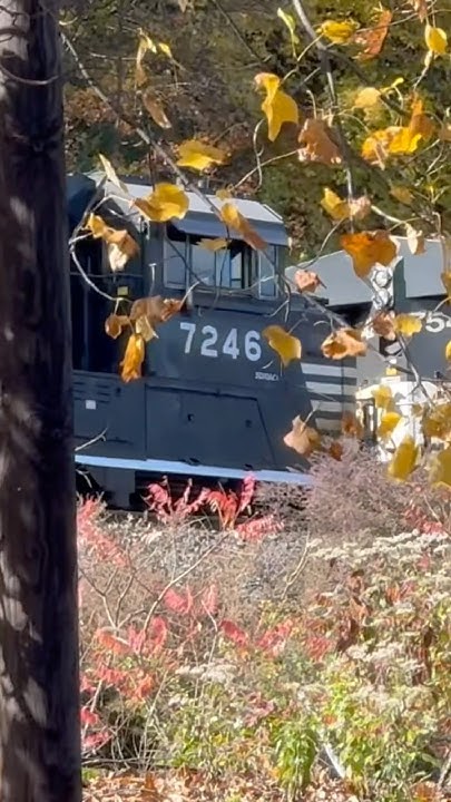 NS 7246 SD70ACU trails second on an NS manifest with NS 7542 leading out of Enola Yard 10/26 ...