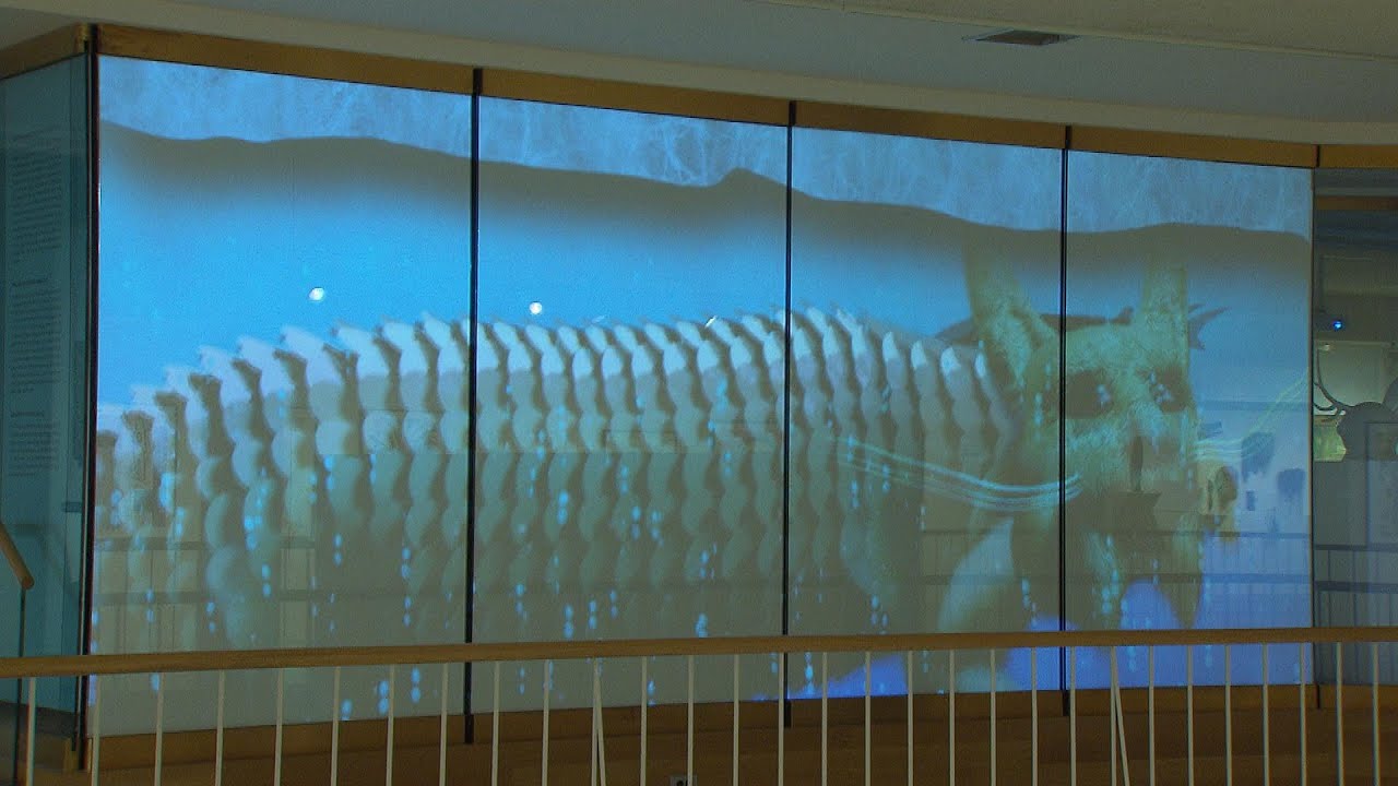 Animated Ojibwe Stories by Jonathan Thunder - YouTube