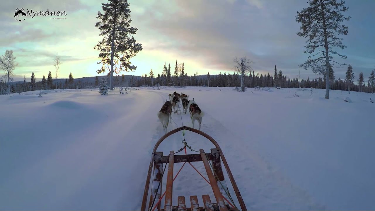 nymanen final Trailer - YouTube