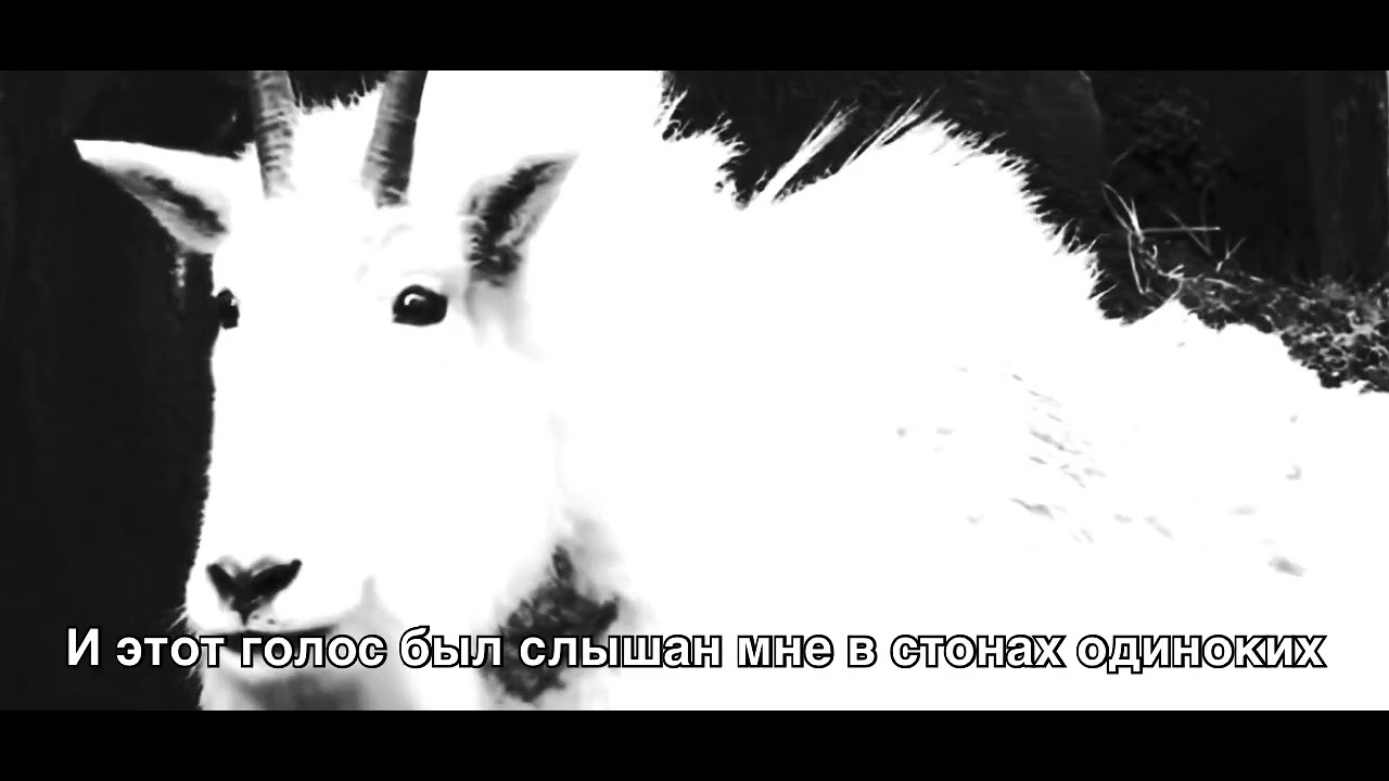 Umberto Saba - La Capra - YouTube