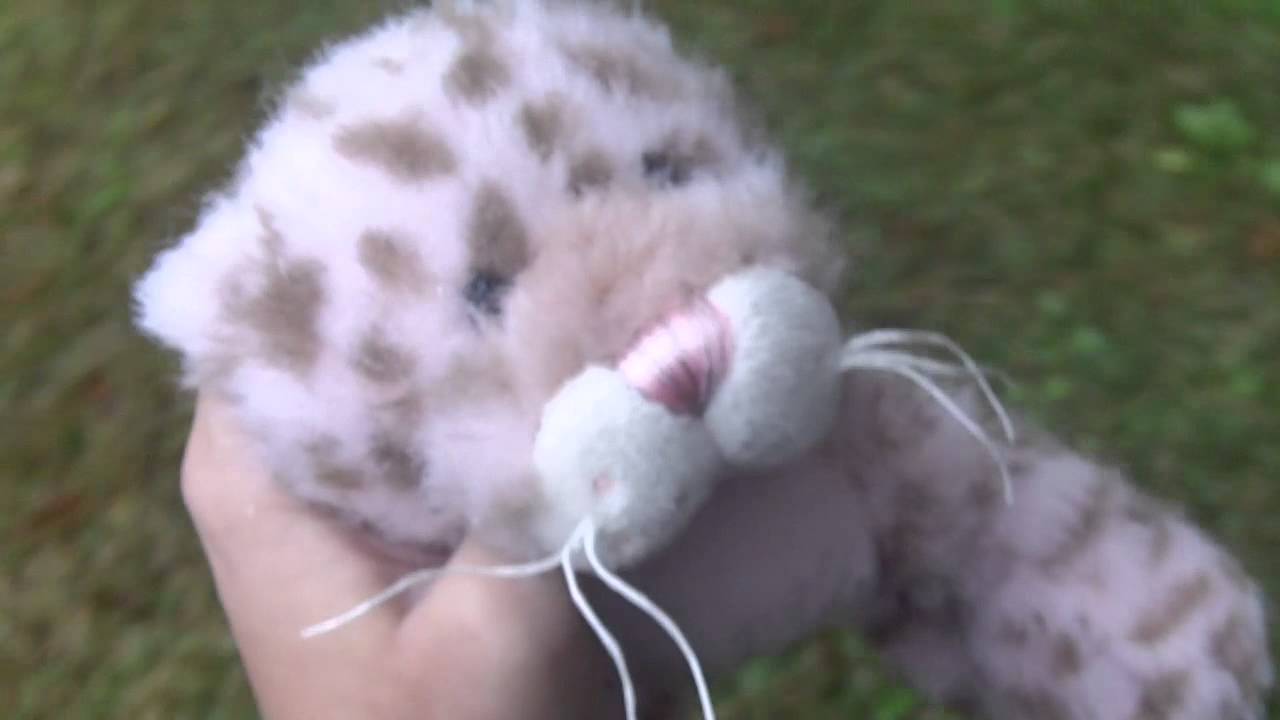 Outside with Sparkle my Webkinz Strawberry Clouded Leopard! :D - YouTube