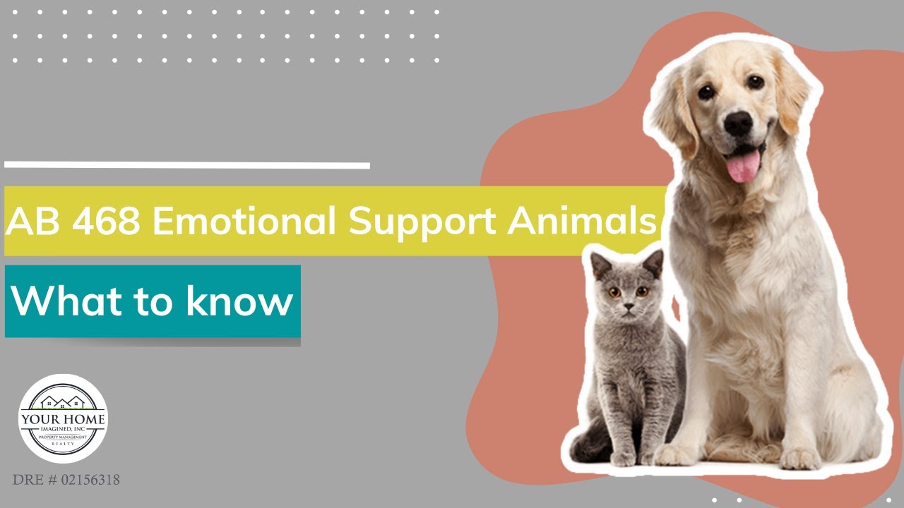 AB 468 California Law Fair Housing Act Emotional Support Animal YouTube ab-468-california-law-fair-housing-act-emotional-support-animal-youtube