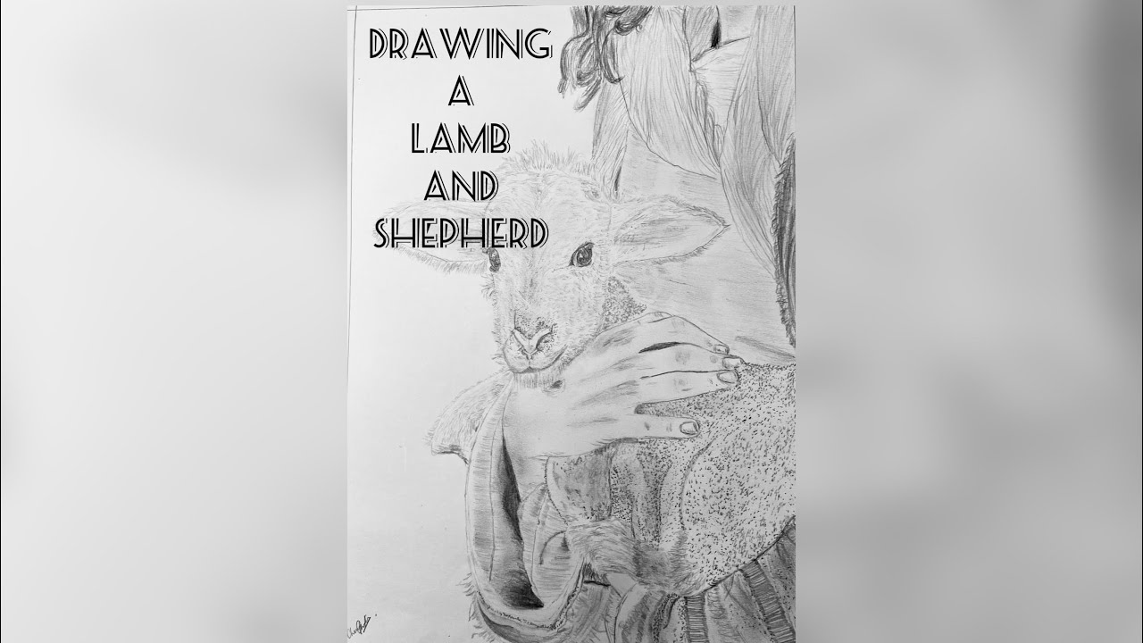 Drawing a lamb and shepherd - Detailed pencil sketch - YouTube
