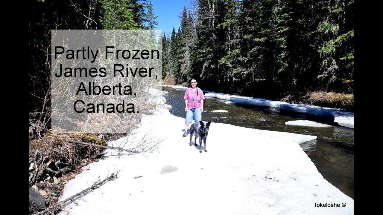 Partly frozen James River in Alberta, Canada. - YouTube