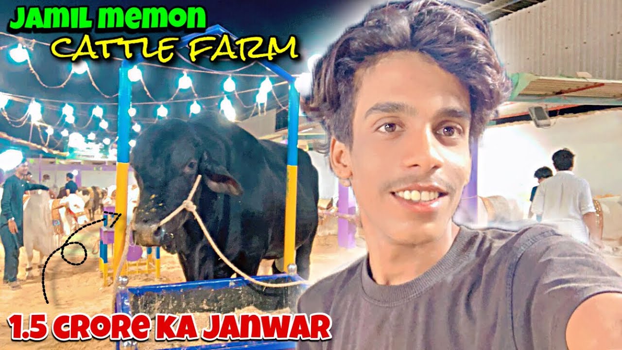 Qurbani Ka 1.5 Crore Ka Janwar 🐂😱 || Expensive Cow Mandi Ka khubsurat ...