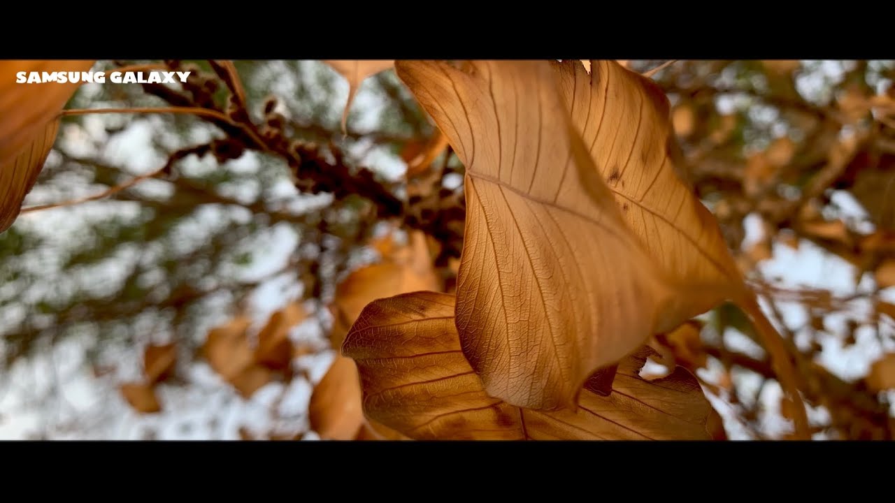 Samsung Galaxy A73 Cinematic Camera Test 4k