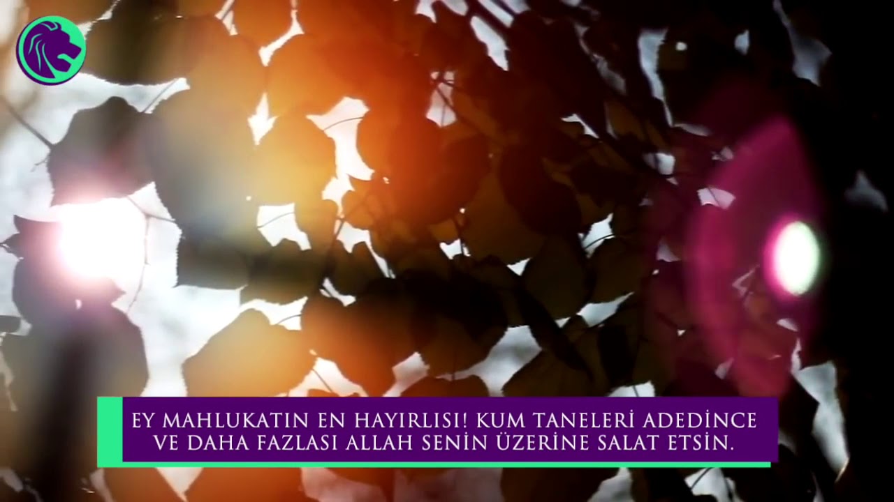 Salli ala Muhammed - YouTube