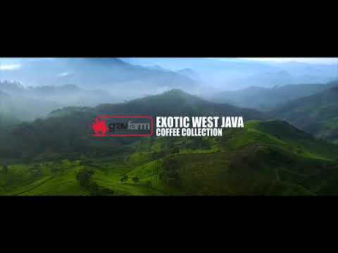GRAVFARM - EXOTIC WEST JAVA Coffee and Tea Collection 1.8.3.1 ...