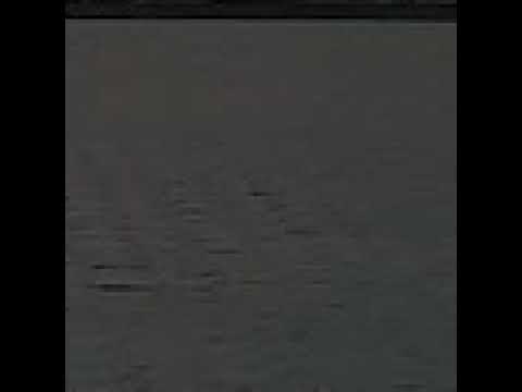 Dilwar_Singh_JI_ Live Stream - YouTube