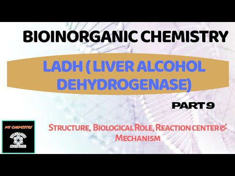 LIVER ALCOHOL DEHYDROGENASE ( LADH) - STRUCTURE, BIOLOGICAL ROLE ...