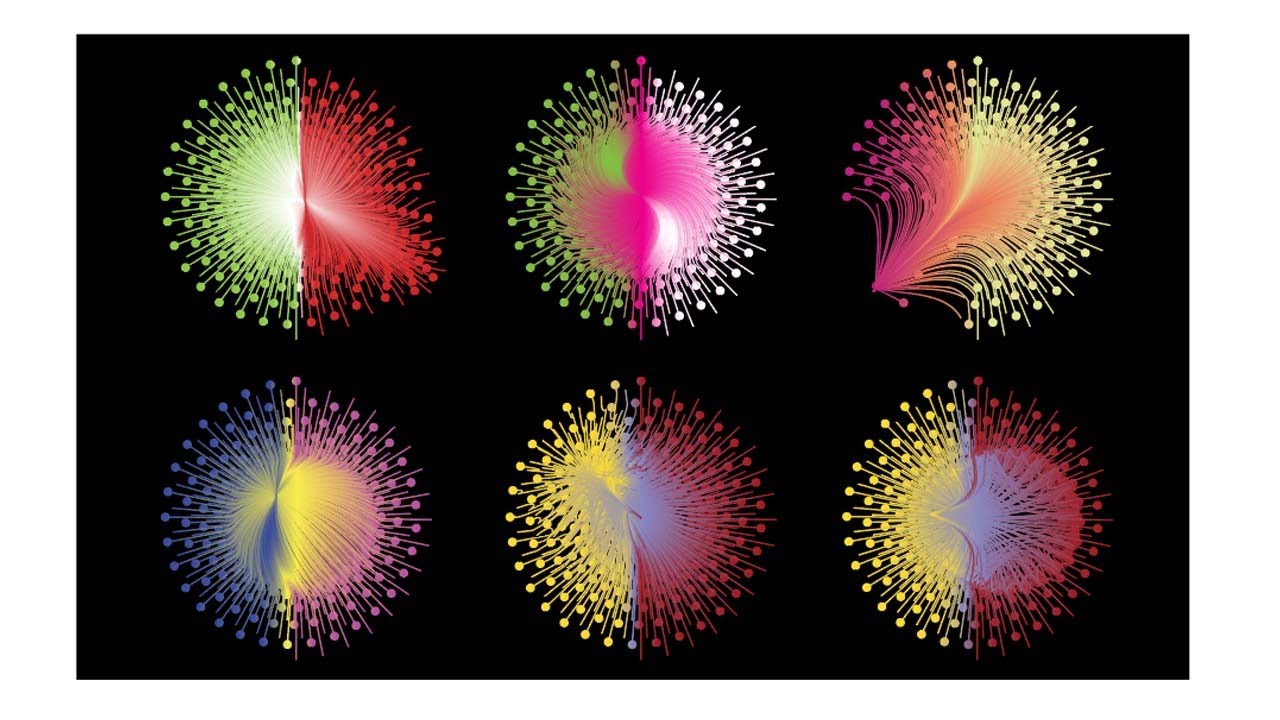 How To Make Particle Lines Shapes In Adobe Illustrator For Beginners ...