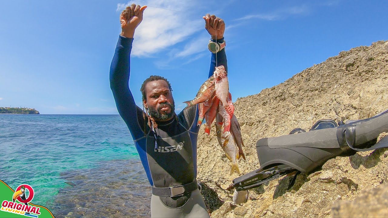 Great Day At Sea Solo Diving - Good Catch - YouTube