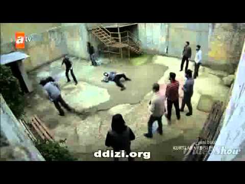 Kvp 217 bölüm pusat dövüş