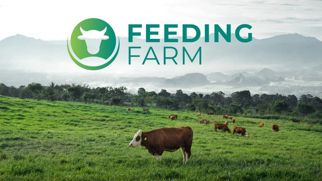 Feeding Farm - Optimize the Feeding of Your Farm - YouTube