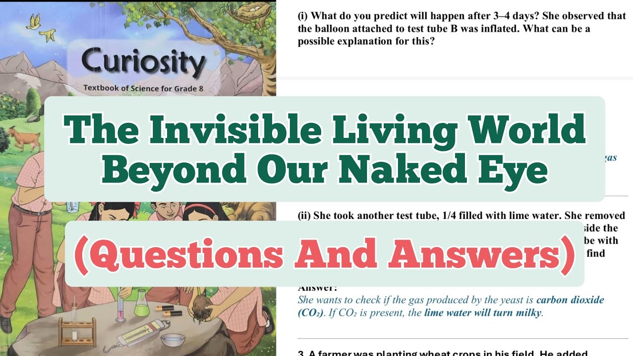 Class 8 Curiosity Chapter 2 The Invisible Living World - Beyond Our ...